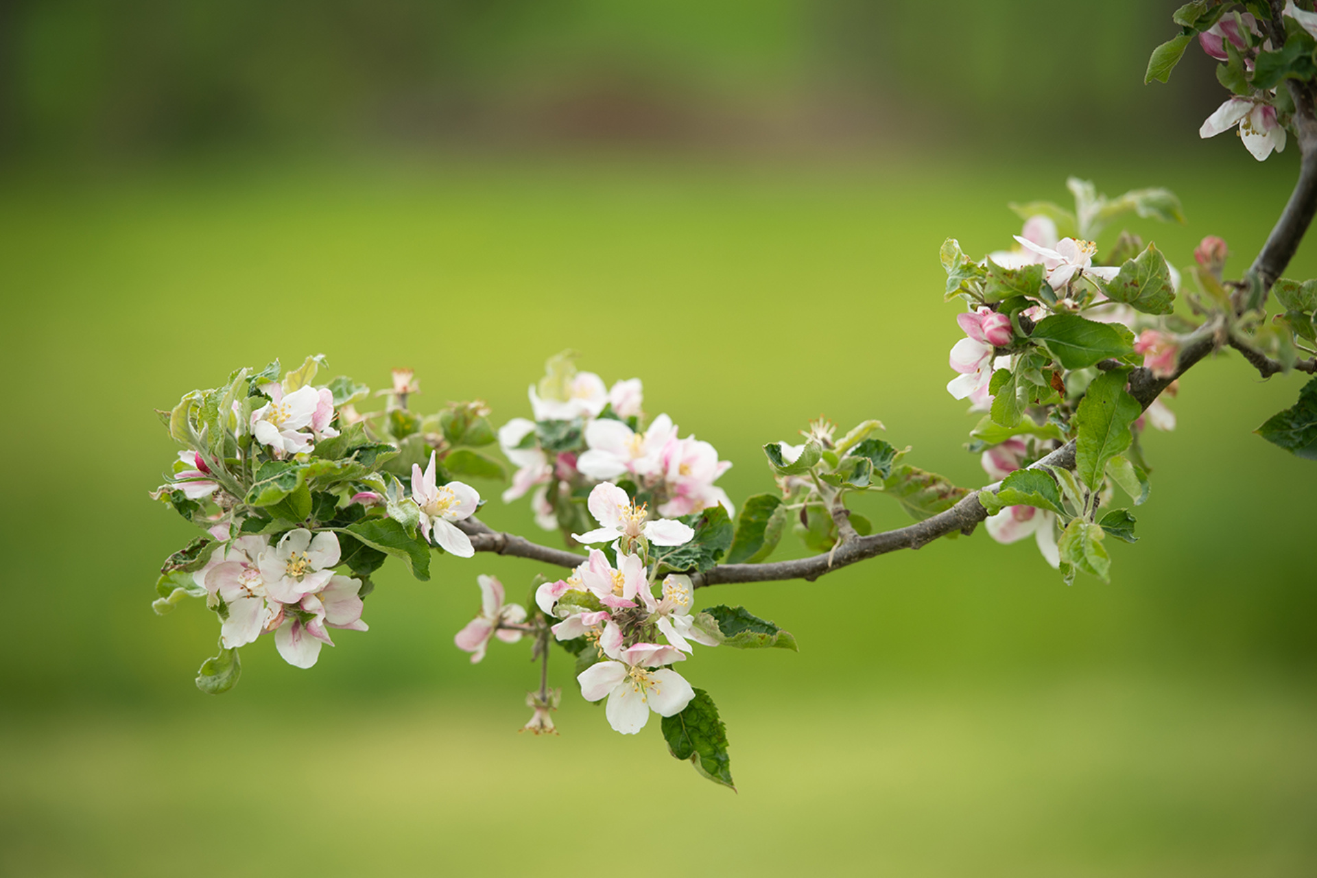 RAMSEIER Suisse AG | Offizielle Website